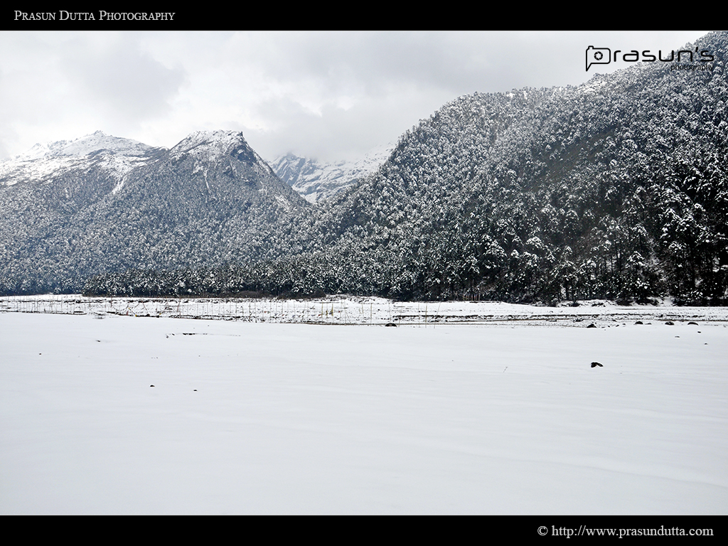Ice Everywhere @ Sikkim | Prasun Dutta